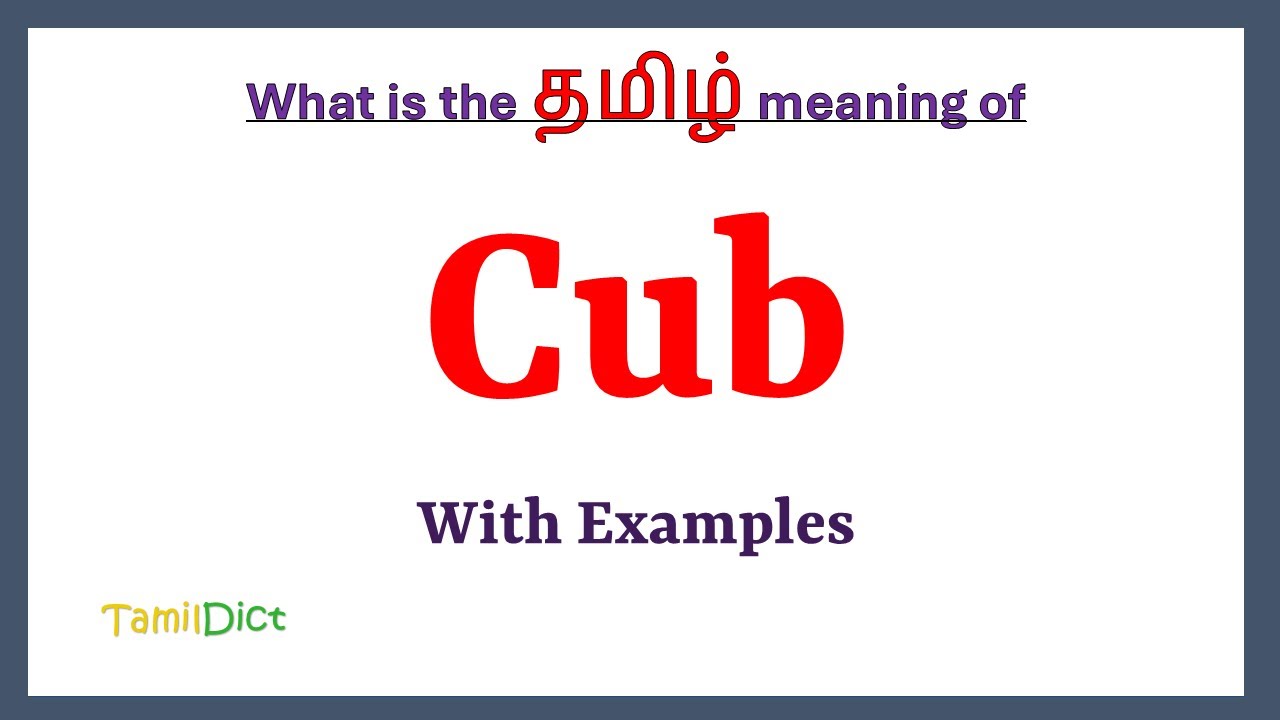 Cub Meaning in Tamil | Cub in Tamil | Cub in Tamil Dictionary | - YouTube