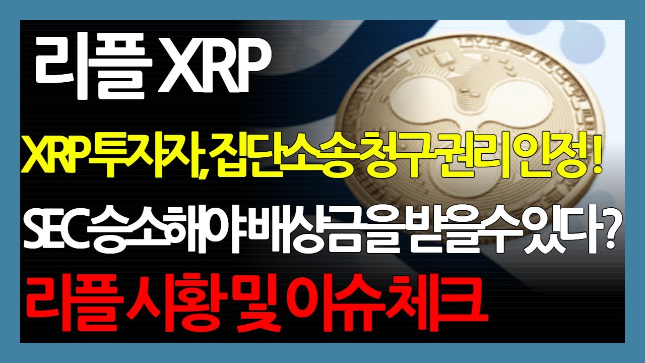 리플 Xrp 투자자 집단소송 청구 권리 인정 Sec 승소해야 배상금을 받을수 있다 리플 시황 및 이슈 체크 Youtube