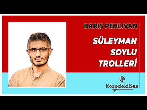 BARIŞ PEHLİVAN -\