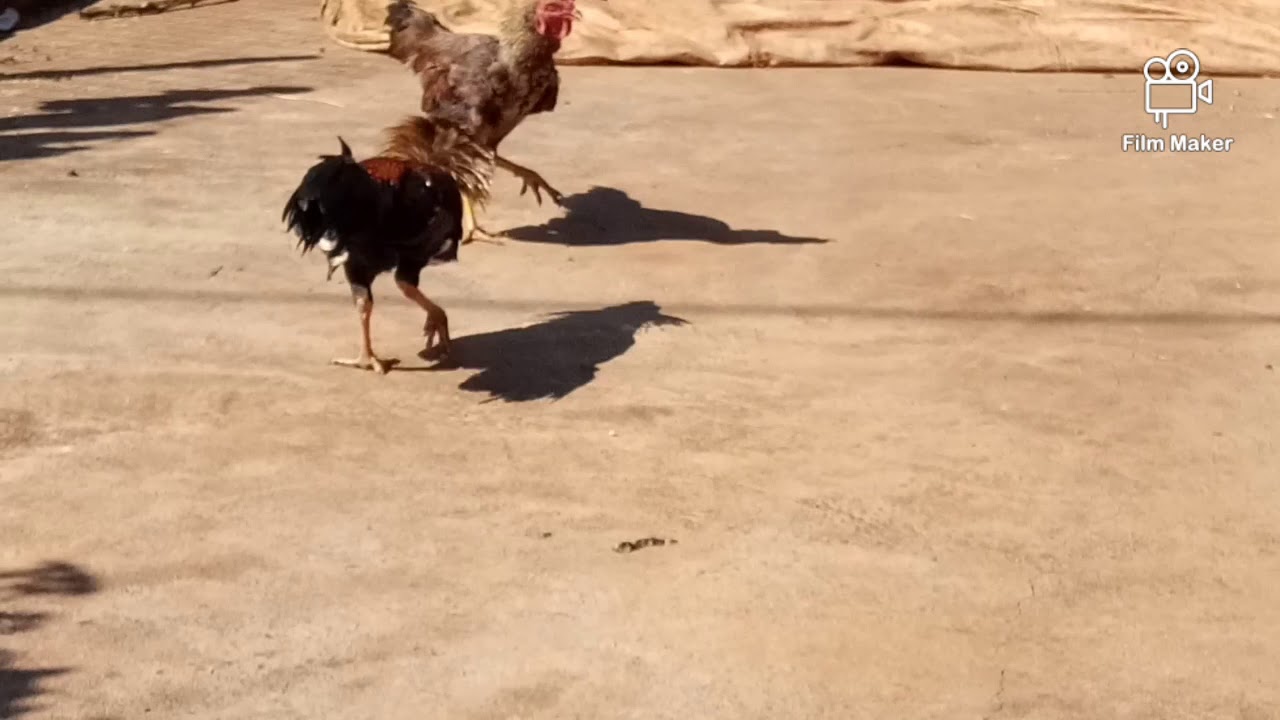 Giò Kê phân cao thấp võ công.... Cái kết bãi chọ! - YouTube