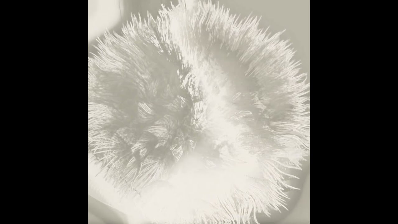 Image For Projection Touchdesigner YouTube Image For Projection Touchdesigner YouTube