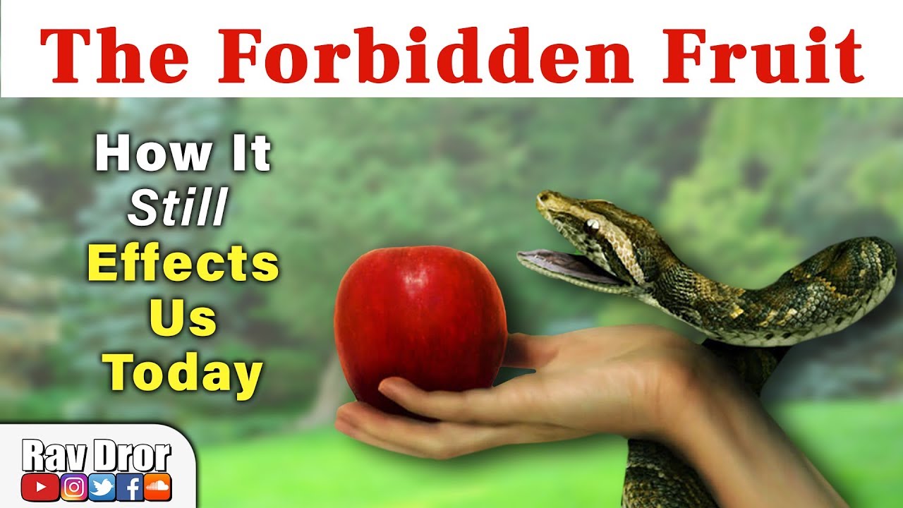 How Adam And Eve s Eating From The Forbidden Fruit Still Effects Us
