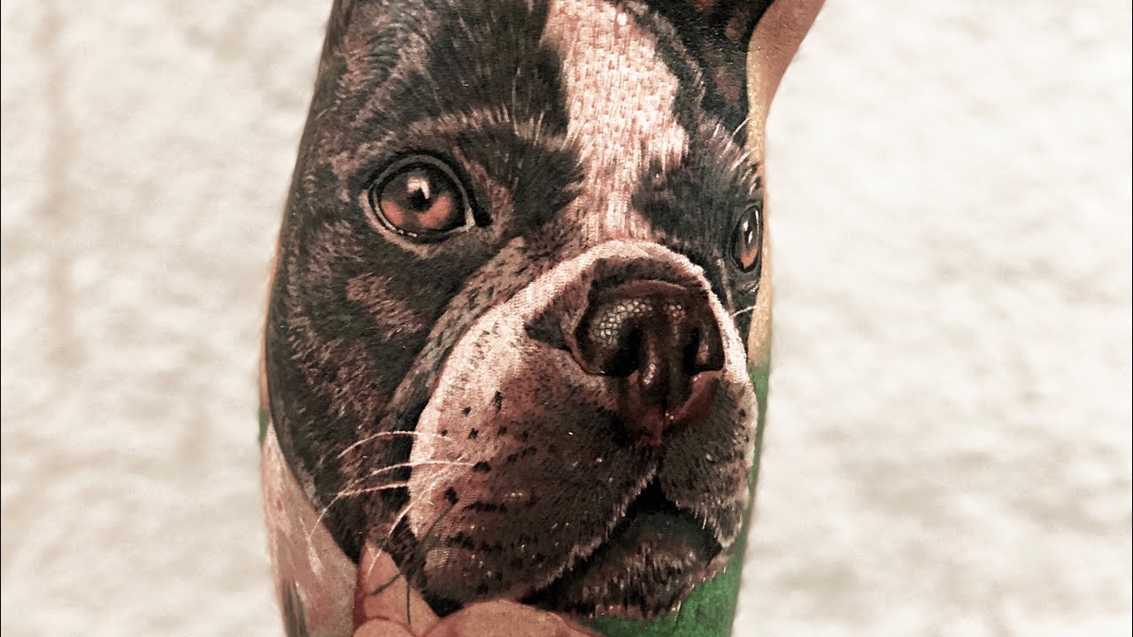 Increíbles Tatuajes de Perritos 🐶 - YouTube