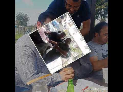 Dostlar yine yeniden bir arada