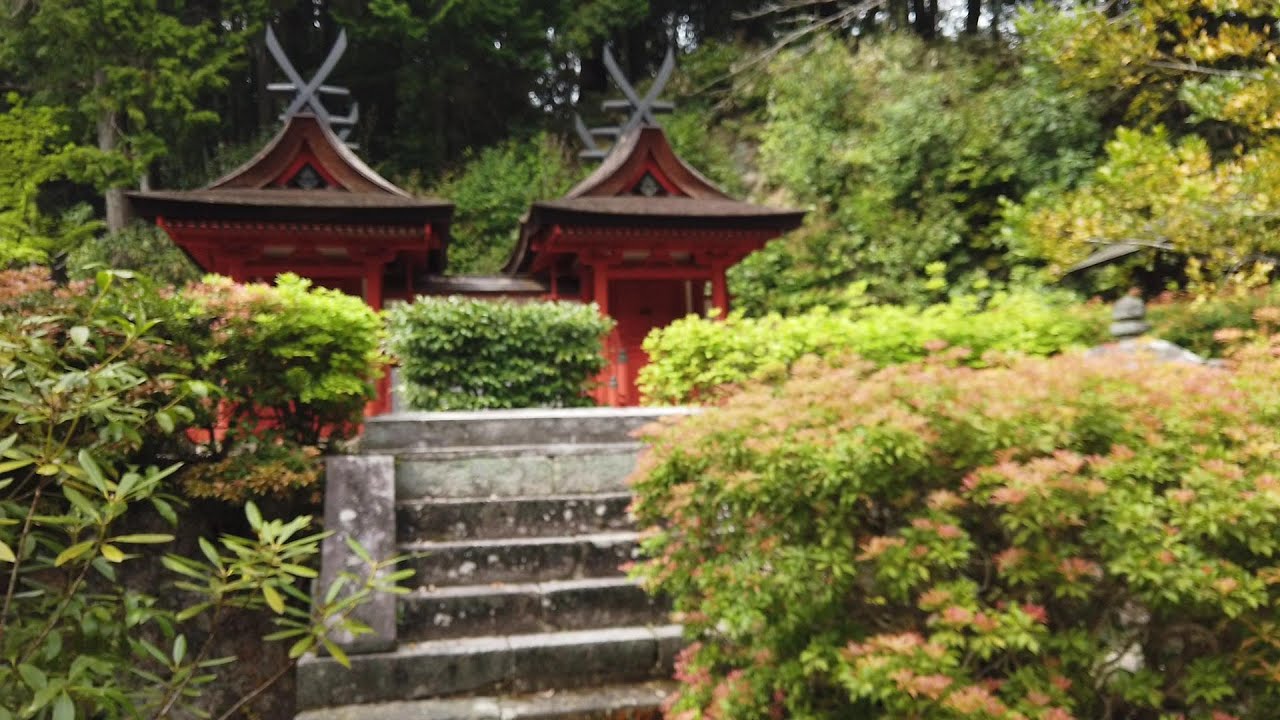 2024.04.18 奈良県奈良市忍辱山町 円成寺 Enjou-Ji Temple - YouTube