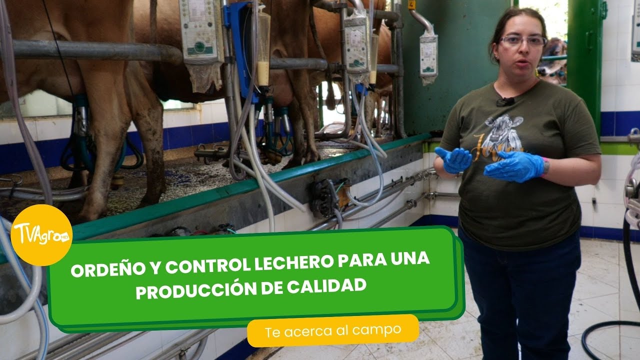 Ordeño y control lechero para una producción de calidad - TvAgro por Juan Gonzalo Angel Restrepo ...