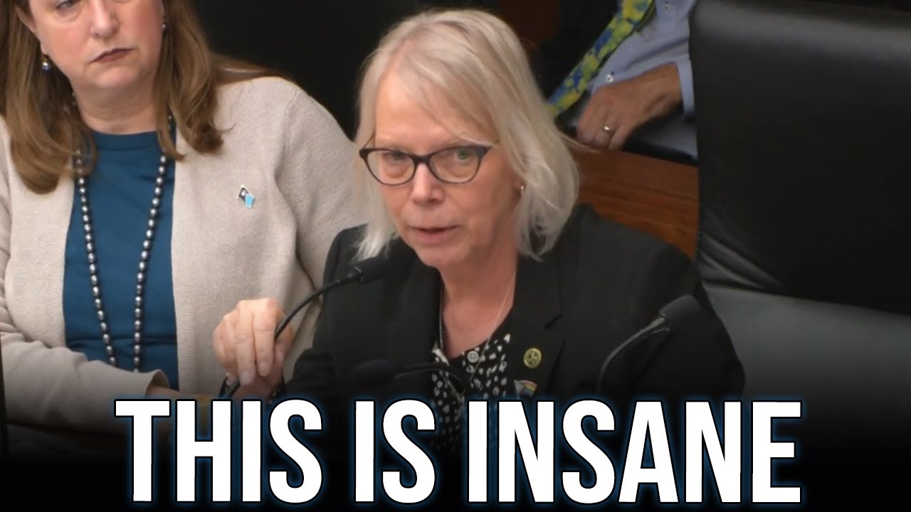 Minnesota Rep. Liz Reyer claims using the WRONG PRONOUNS is an actual ...