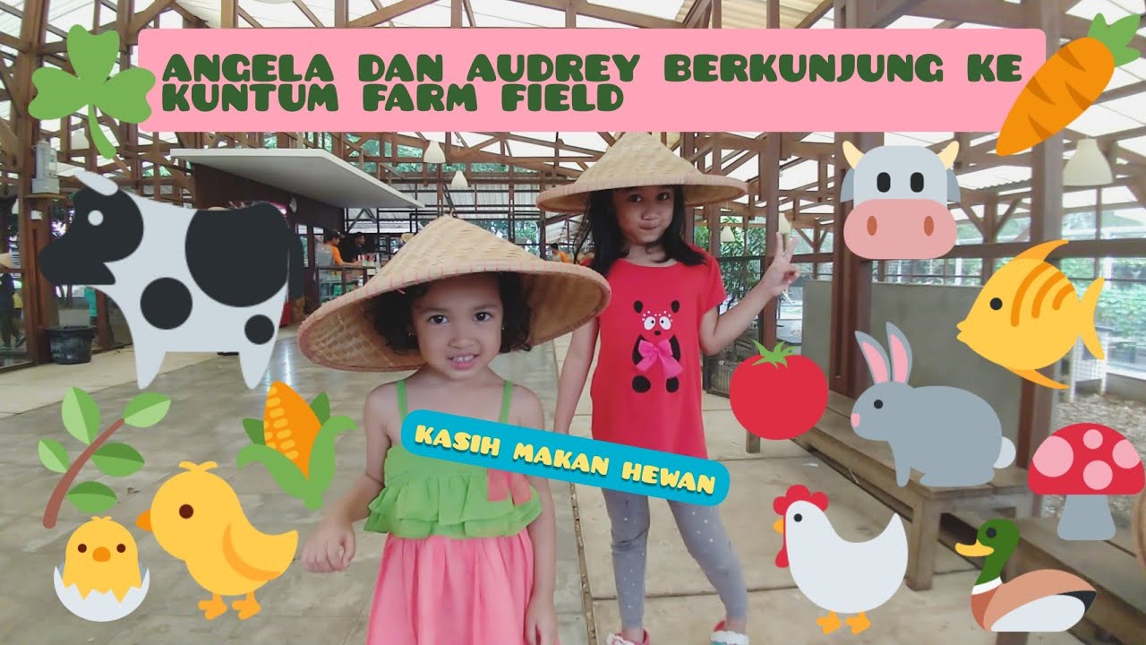 Berkunjung ke Kuntum Farm Field | Angela & Audrey senang sekali memberi ...