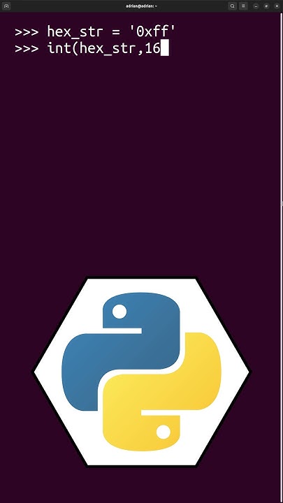 Converting A Hexadecimal String In Python Python Coding Youtube