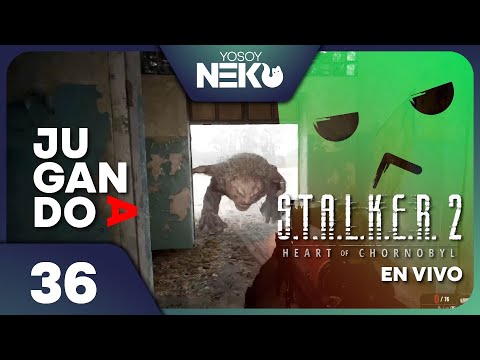 CUIDADO, HOMBRE RADIOACTIVO! | JUGANDO A STALKER 2 - YouTube