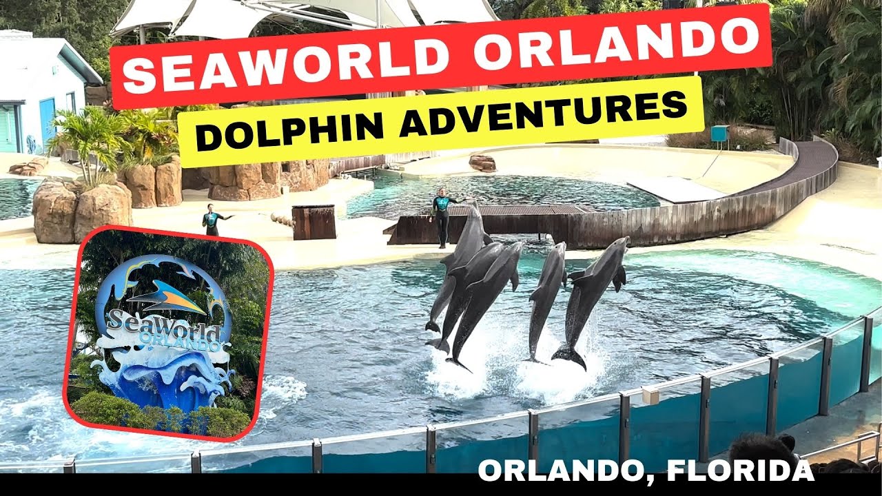SEAWORLD : DOLPHIN ADVENTURES AT THE DOLPHIN STADIUM IN SEAWORLD ...