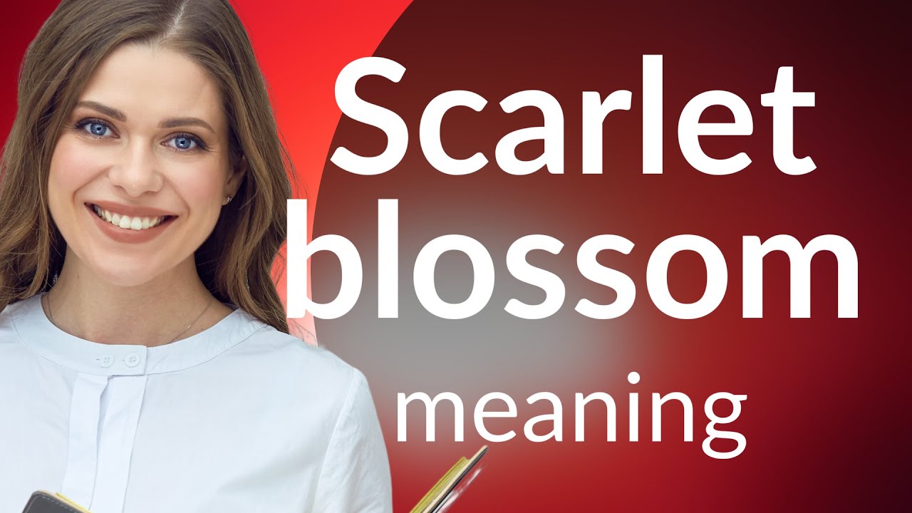 Exploring the Meaning of "Scarlet Blossom" - YouTube