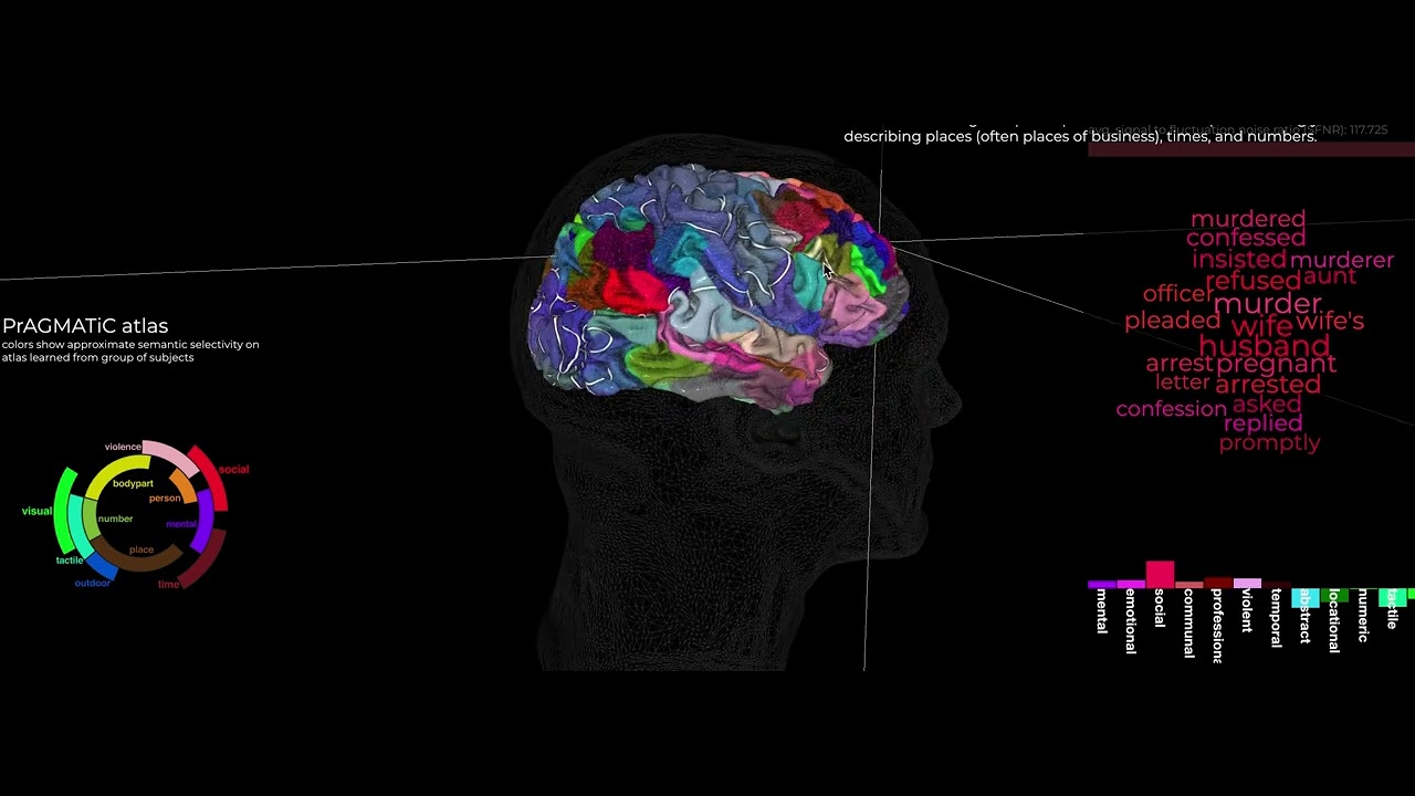 Semantic maps of the brain. - YouTube