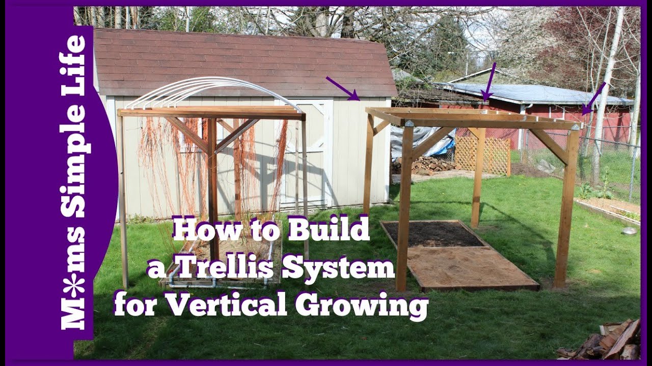 How to Build Trellis System for Vertical Growing - YouTube