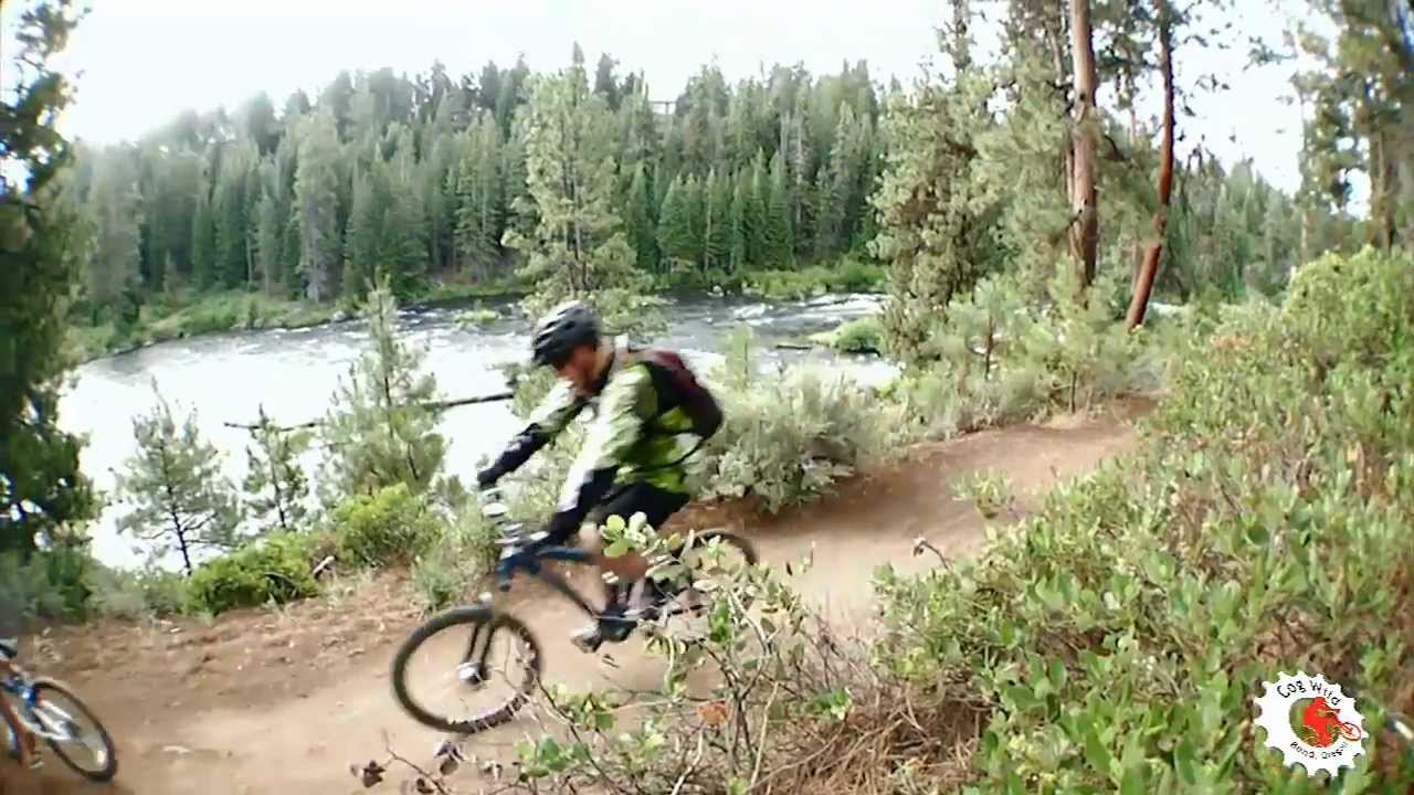One Day Tours with Cog Wild - YouTube