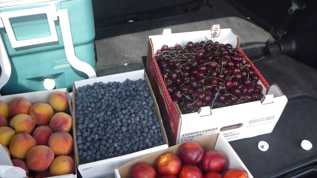 BEAUTIFUL CANADIAN FRUIT - YouTube