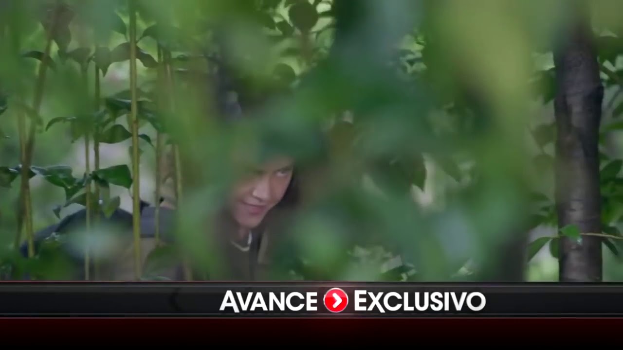 El capo 4 capitulo 1 official - YouTube