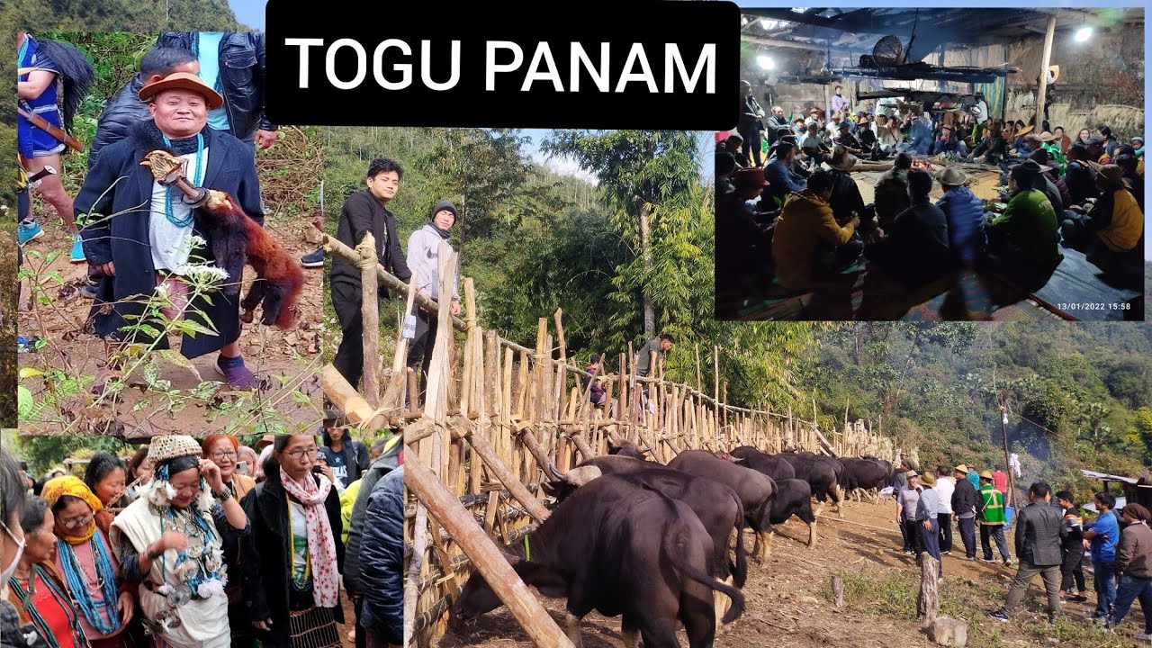 DA-ATE NYIDA (TOGU PANAM) || HIGHEST TRADITIONAL RITUAL WEDDING ...