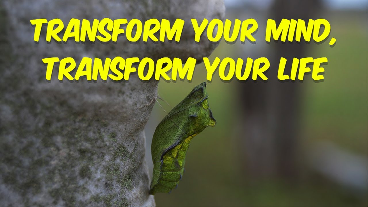 Transform Your Mind, Transform Your Life - YouTube