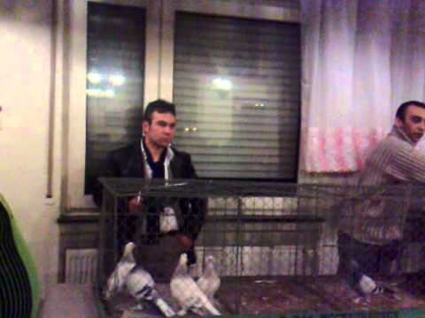 Mannheim Kus ihalesi II