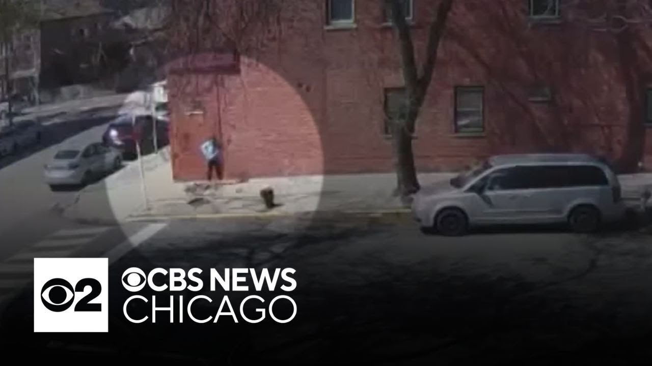 COPA releases video of Chicago Police officer shooting, killing dog ...