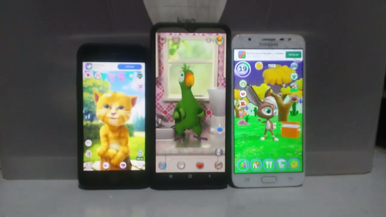 Talking Ginger 2 Echo VS Talking Pierre Echo VS Talking Hare Echo - YouTube