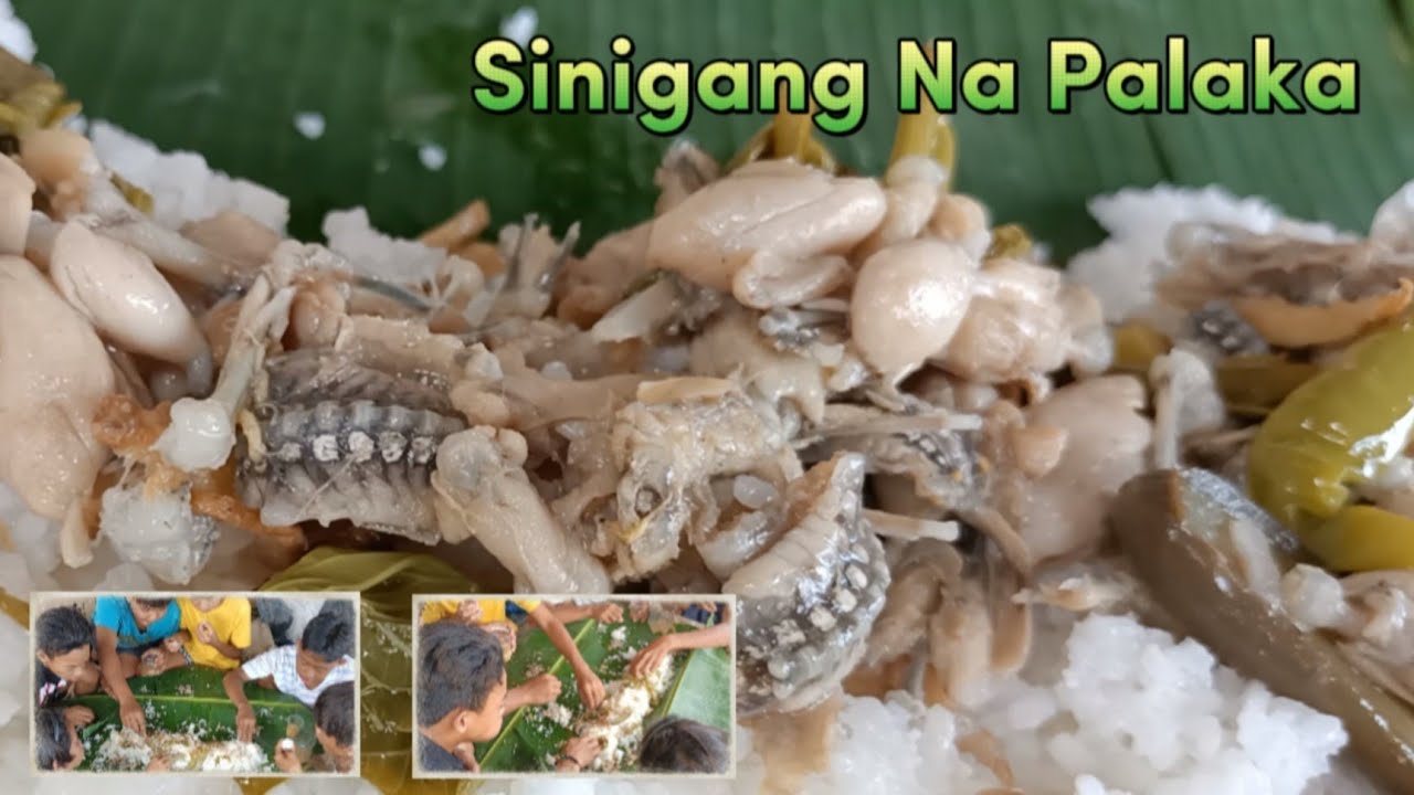 Part 2 of 2 | Palaka Mukbang | Sinigang Na Palaka #mukbangphilippines # ...