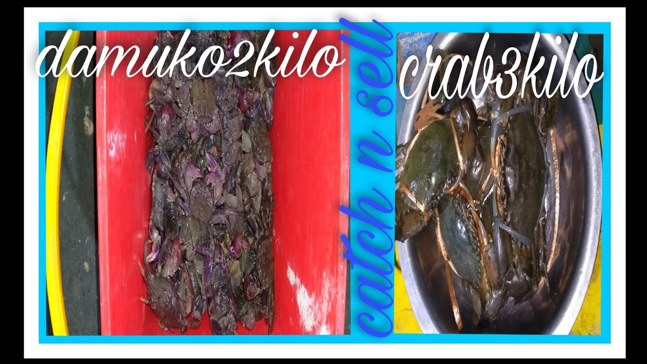 catch n sell | crab hunting | damuko | occ, mindoro.| - YouTube