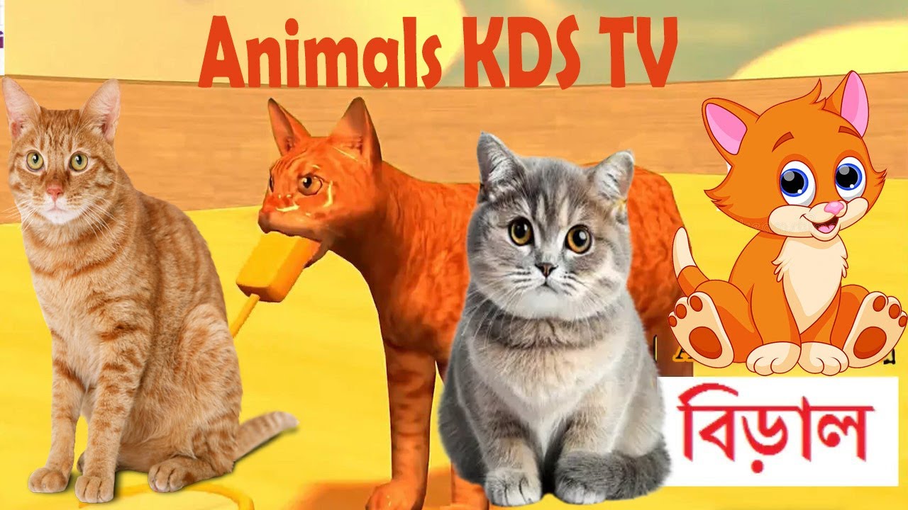 Bangla Animation Cartoon Video for Kids Learning English to Bangla ...