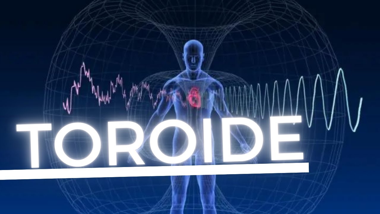 Cómo AUMENTAR nuestro TOROIDE para ELEVAR nuestra FRECUENCIA!! - YouTube