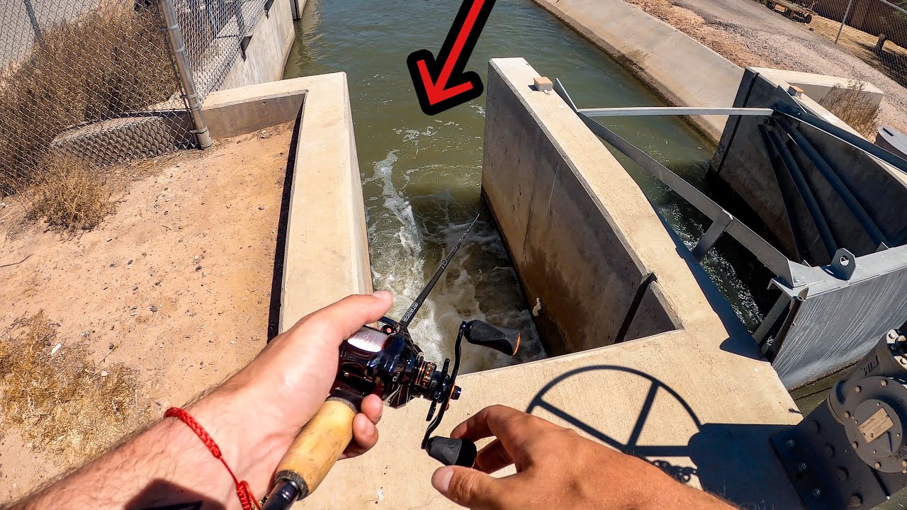 Simple Canal Fishing in Phoenix AZ - YouTube