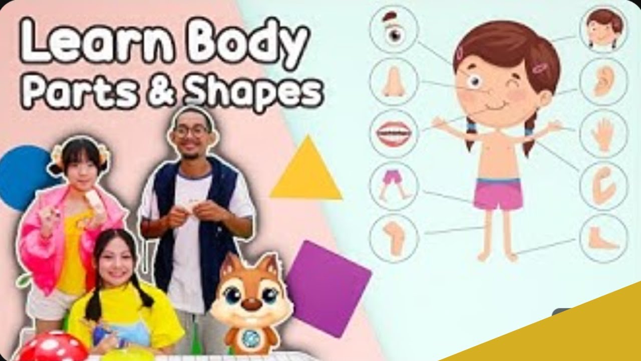 Learn Body Parts for Kids with Song Head Shoulders Knees And Toes - YouTube