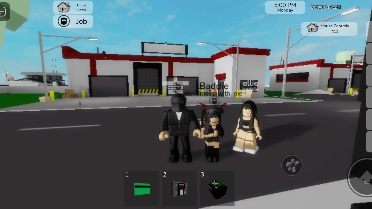 Criminal Gang In Brookhaven ( Roblox) - YouTube