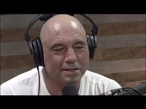 Joe Rogan on the End of Sober October 2019 - YouTube