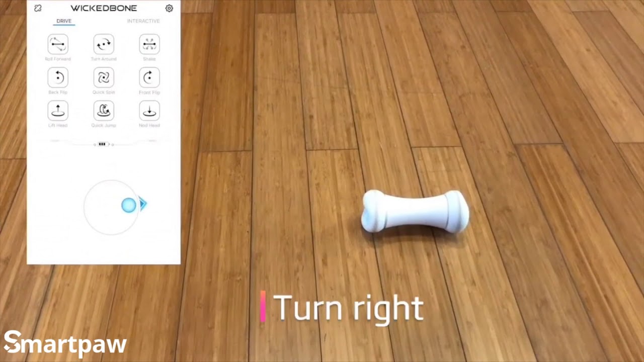 Wickedbone - Smart & Interactive Dog Chewing Toy How To Control Video ...