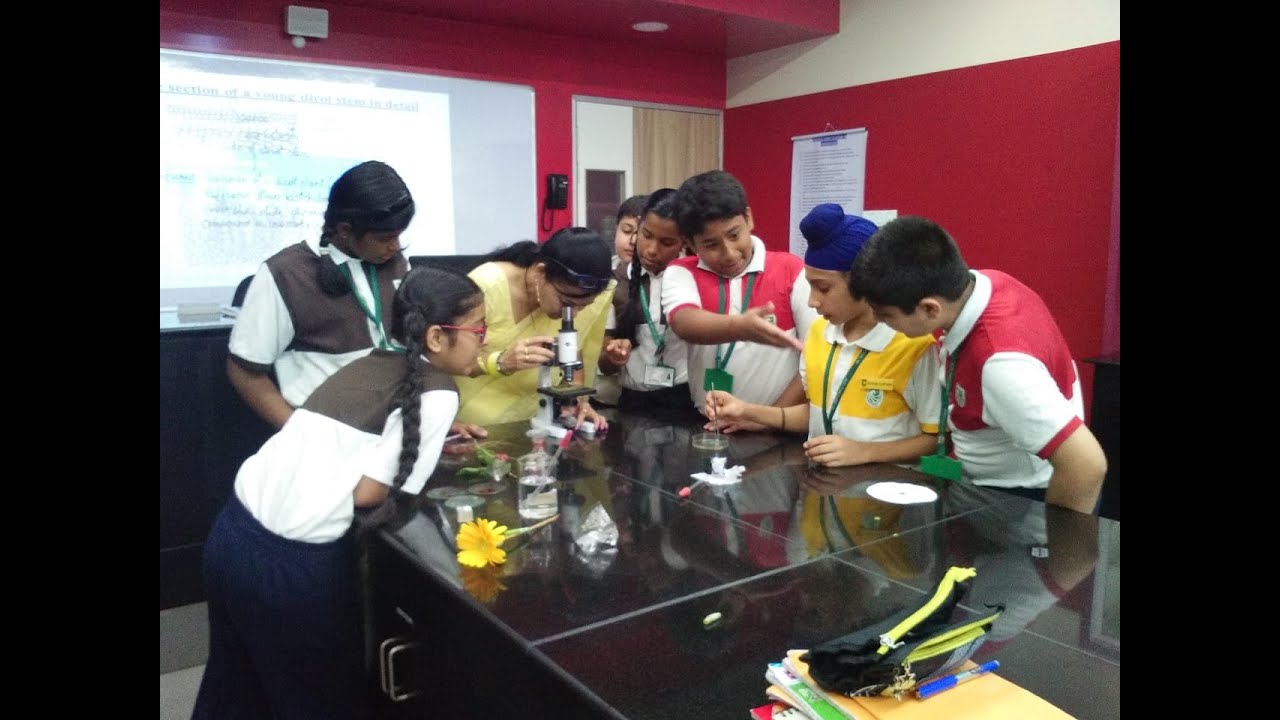 Preparation of Temporary Slide (Dicot Stem) - Rachna Lakshminarayanan ...