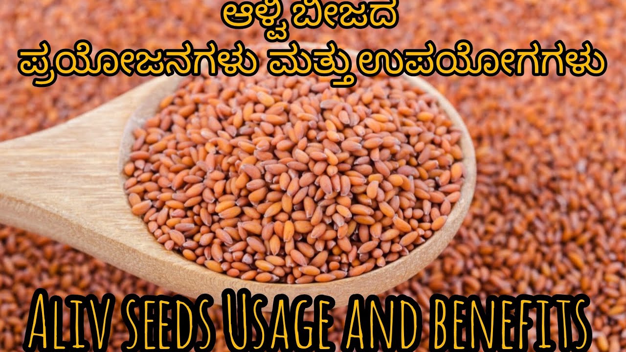 ಆಳ್ವಿ ಬೀಜದ ಪ್ರಯೋಜನಗಳು ಮತ್ತು ಉಪಯೋಗಗಳು||Aliv seeds Usage and benefits ...