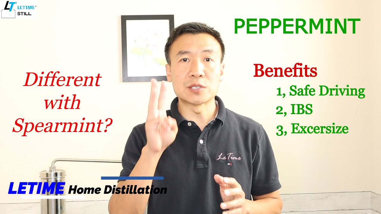 Benefits of Peppermint Extract Peppermint by Distillation Uses of ...