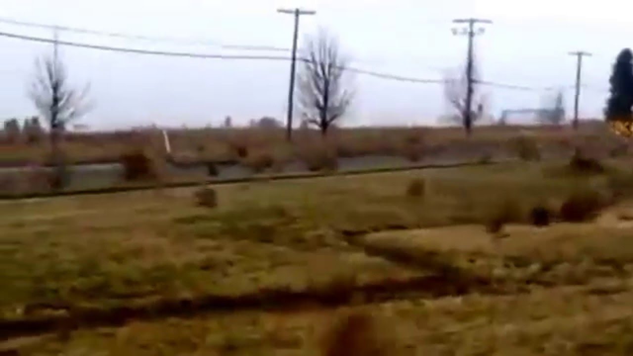 Thousands of tumble weeds blowing in the wind - YouTube