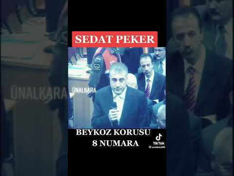 Farkimiz Azerbaycan Vor Zakonlarına Soruldugunda Hakime Direk Vor Zakonum Diye Cevap Verir Trısmazla