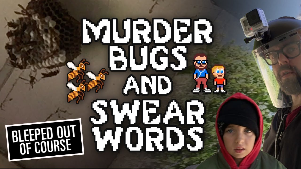Murder Bugs & Swear Words - YouTube
