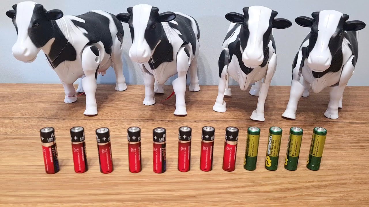 The Complete Polish Cow Set - Unpacking and Testing Crazy Cows - YouTube