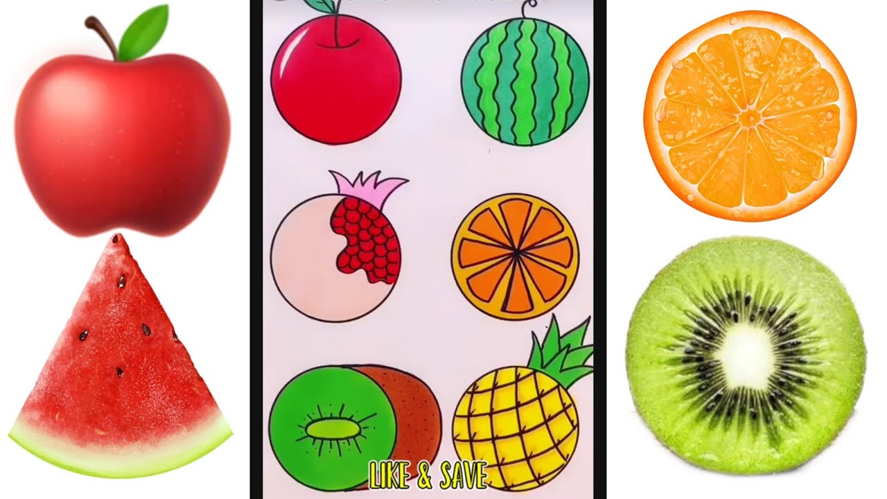 Mix Fruit Chart Drawing From Buttons Circle Different Drawing Shapes ...