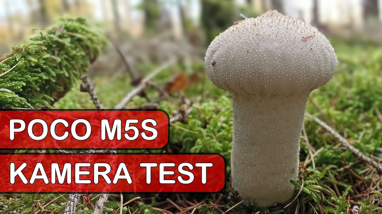 Poco M5S Kamera Test