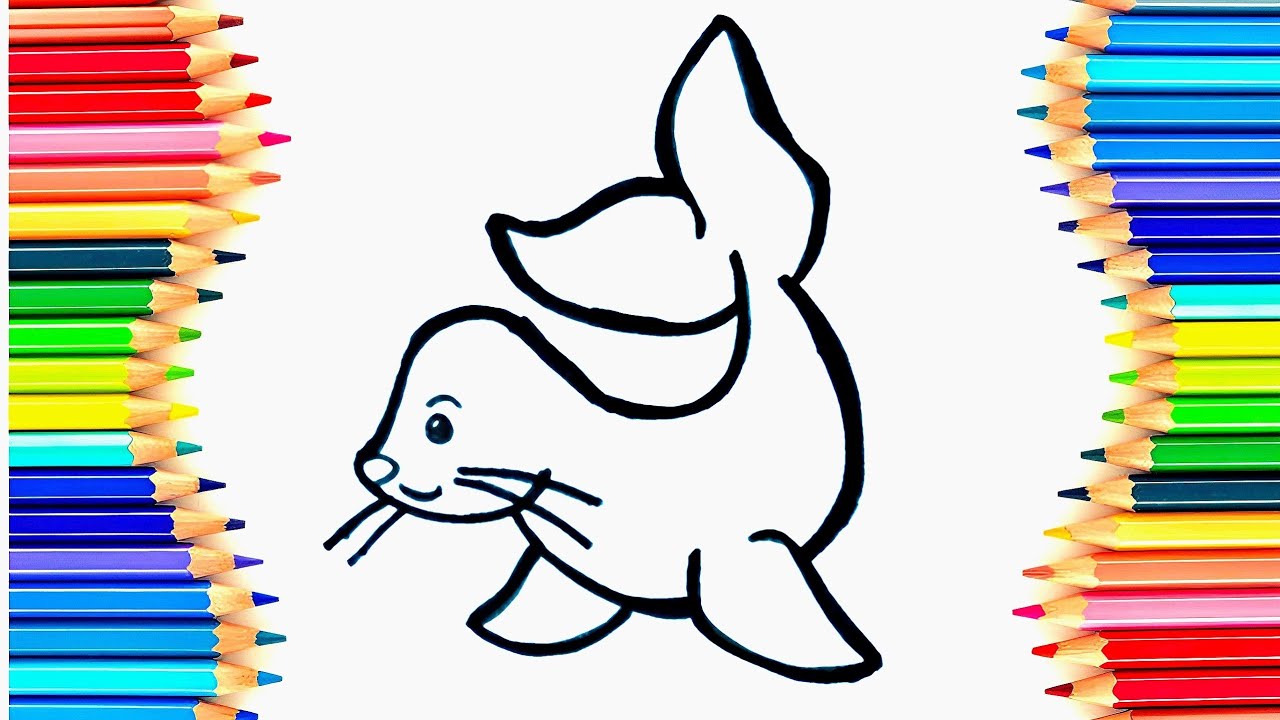 How to draw sea lion/sea lion drawing for kids & toddlers/kids art hub ...