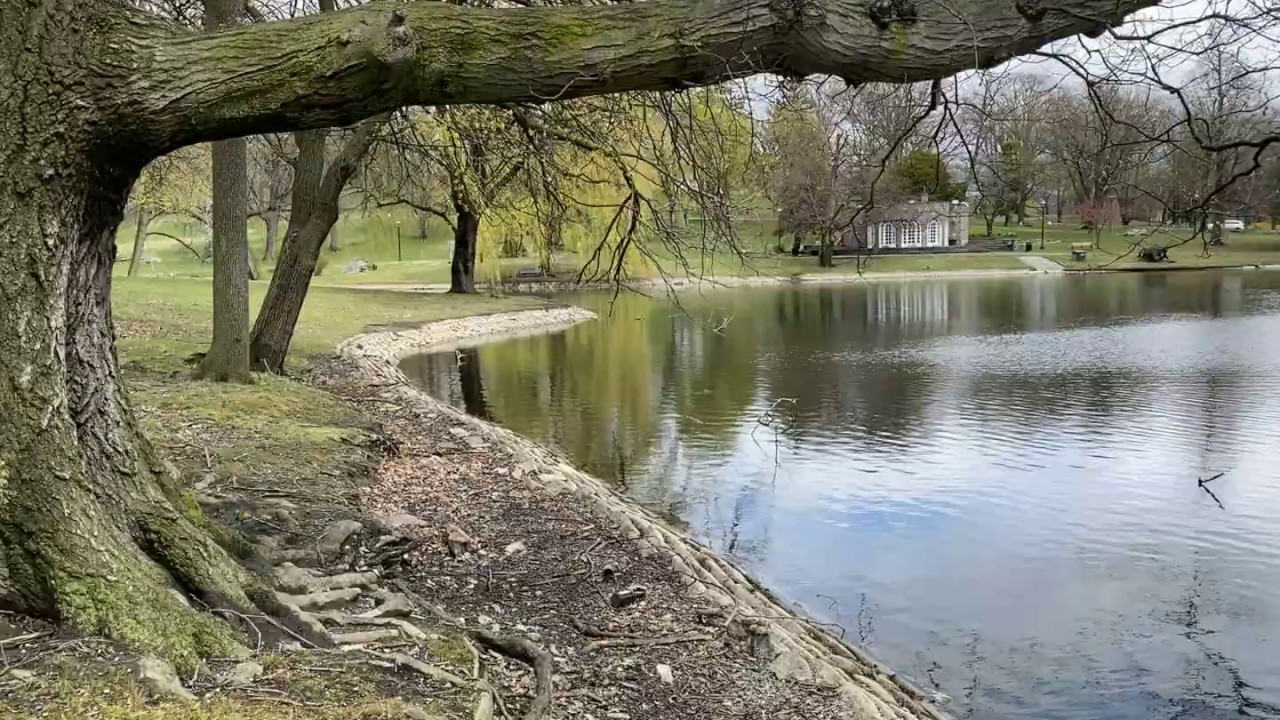 The Polly in Olmsted and Vaux Downing Park - YouTube