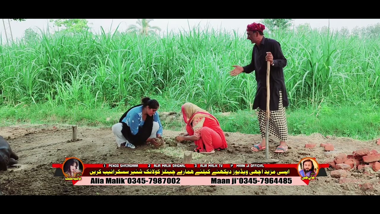 Nafarman AULAD NEW VIDEO ALIYA MALIK AND MAAN JEE TEAM 2024 - YouTube