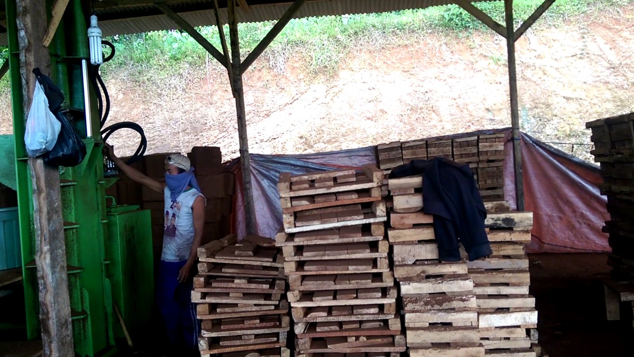 Coco Peat - process - YouTube