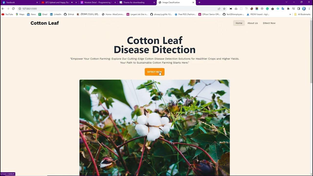 Cotton Leaf Disease Detection Web App using Deep Learning - YouTube