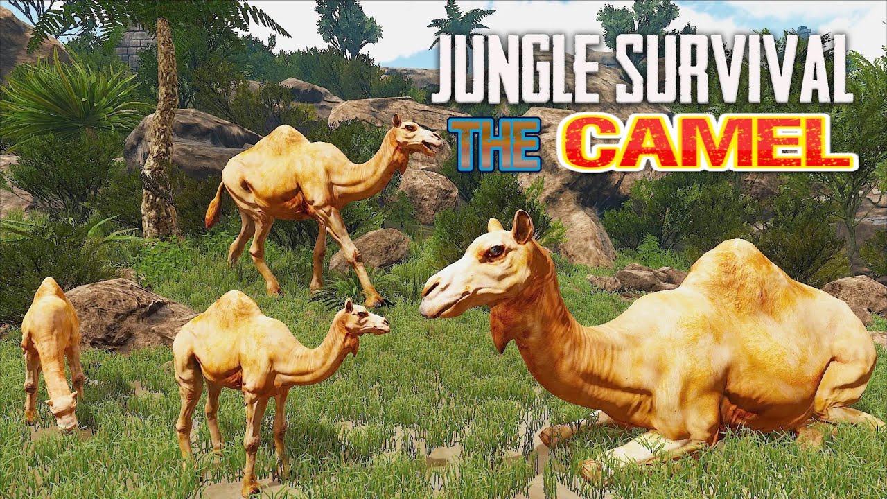 The Camel Animal Simulator ByYusibo Simulator Games #animalsimulator #3 - YouTube